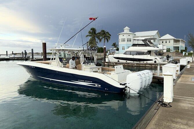 Private Half Day Deep Sea Fishing Morning on Reel Buoys - Key Points