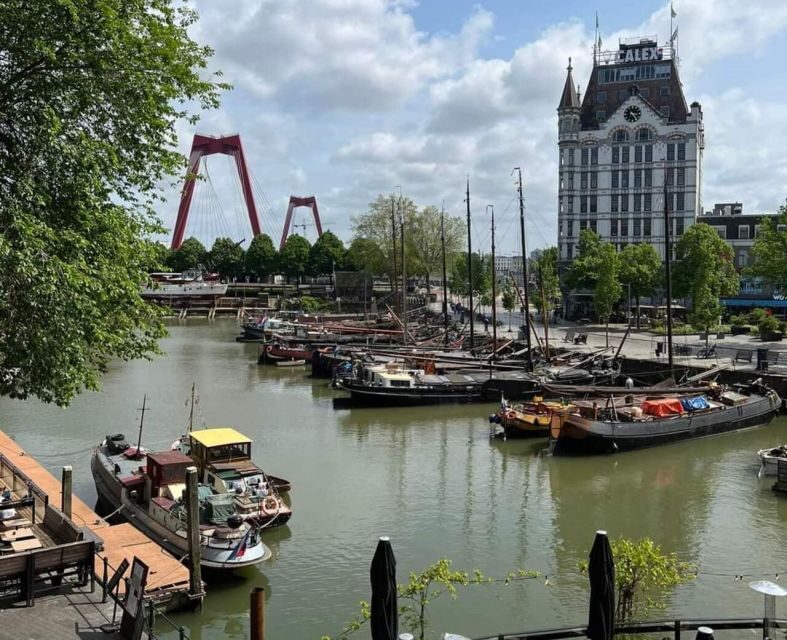 Private half-day Delft and Rotterdam Tour - Key Points