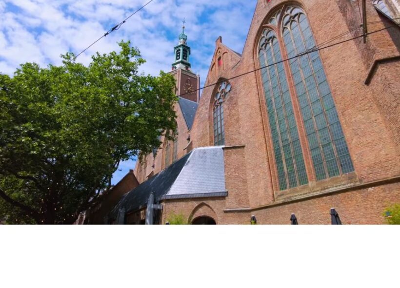 Private half-day Delft and The Hague tour - A Closer Look at the Itinerary