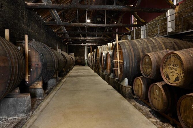 Private Half-Day Douro Tour - Who Will Appreciate This Tour?