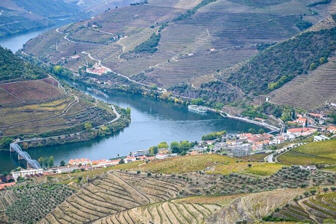 Private Half-Day Douro Tour - Final Thoughts: Is It Worth It?