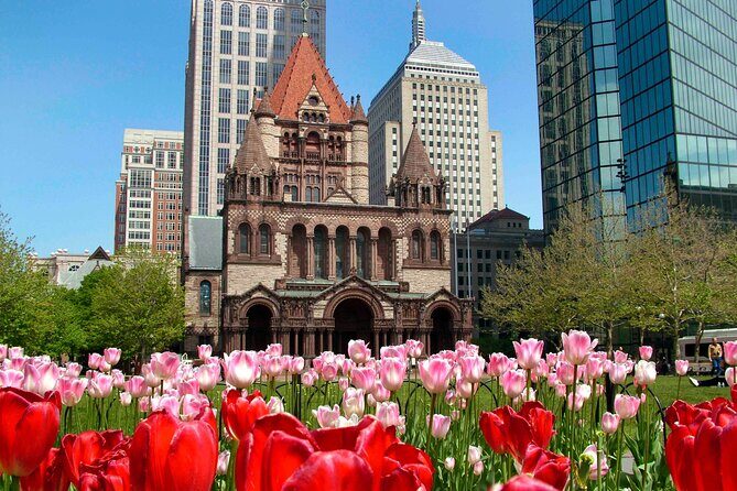 Private Half-Day Driving Tour of Boston and Cambridge - Final Thoughts