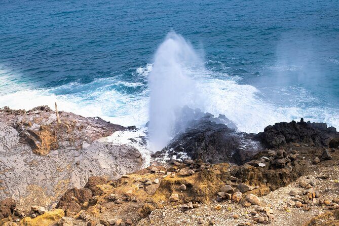 Private Half Day East Oahu Escape - Who This Tour Is Best For