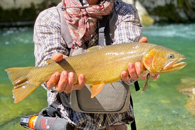 Private Half-day Fly Fishing - Exploring the Private Half-day Fly Fishing Experience in Jackson Hole