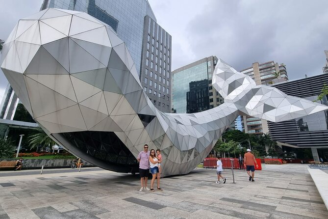 Private Half-Day Guided Tour to São Paulo - Transportation and Logistics