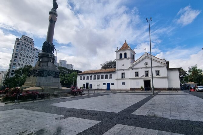 Private Half-Day Guided Tour to São Paulo - Museum Visits and Graffiti Murals