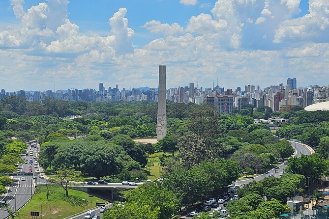 Private Half-Day Guided Tour to São Paulo - Traveler Feedback and Recommendations