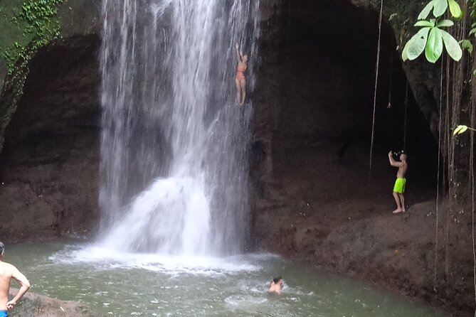 Private Half Day Heritage and Cultural Ubud Tour - All Inclusive - Practical Considerations