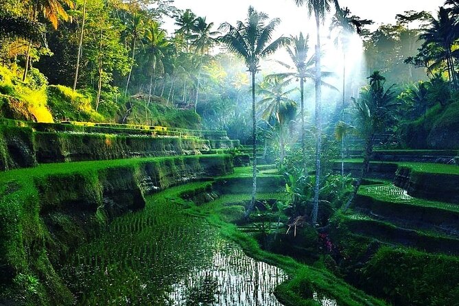 Private Half Day Heritage and Cultural Ubud Tour - All Inclusive - Final Thoughts
