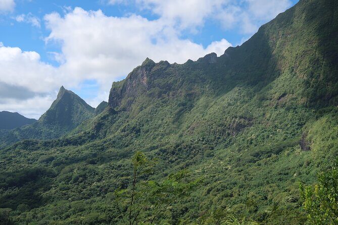 Private Half-Day Hike in the Opunohu Valley in Moorea - Who Will Love This Experience?