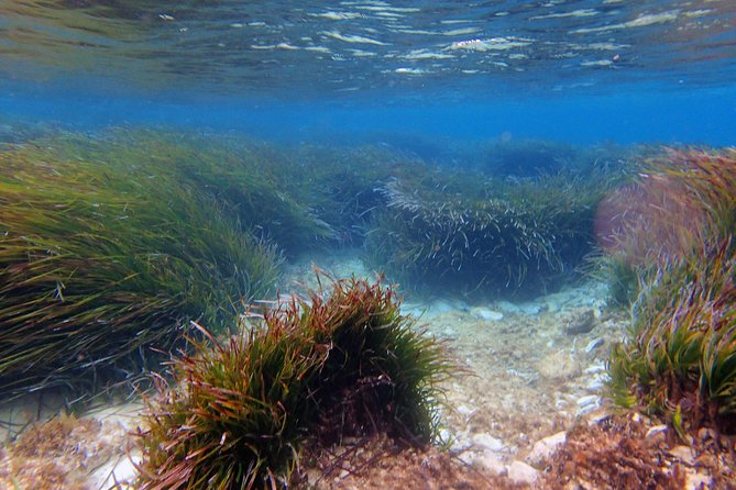 Private Half-Day Kayak Experience Review - About Your Stay