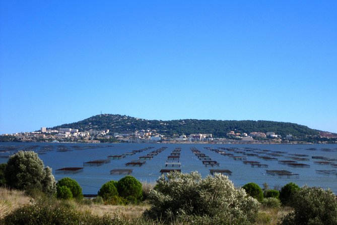 Private Half-Day Languedoc Wine and Oyster Tour from Sète - The Experience from the Traveler Perspective