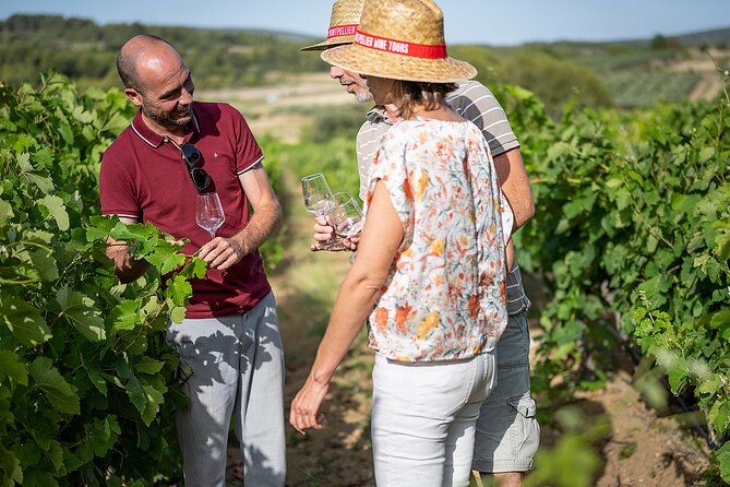 Private Half-Day Languedoc Wine Tour from Sète - The Itinerary in Focus