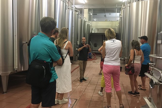 Private Half-Day Languedoc Wine Tour from Sète - Analyzing the Value