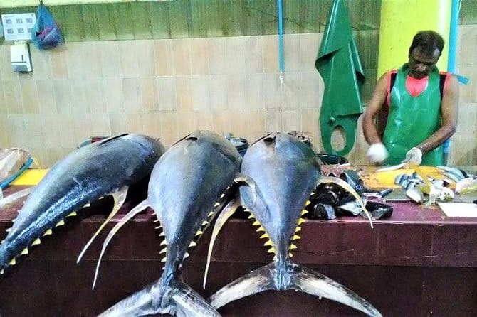 Private Half-Day Local Experience of MaléEnglish/ - Practical Aspects