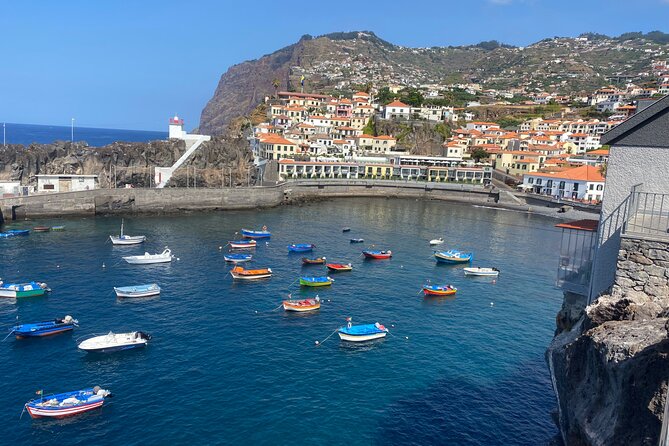 Private Half Day Madeira Tour (Mercedes Viano/Vito) - Tour Experience and Feedback