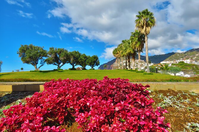 Private Half-Day Morning 4x4 Tour from Funchal - What Makes This Tour Stand Out