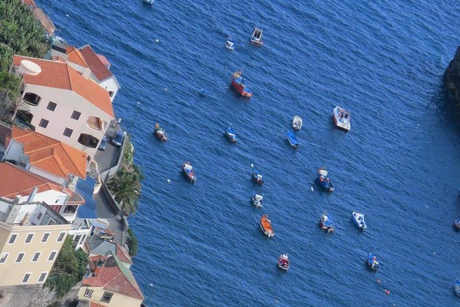 Private Half-Day Morning 4x4 Tour from Funchal - The Sum Up