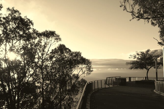 Private Half-Day Morning 4x4 Tour from Funchal - FAQ