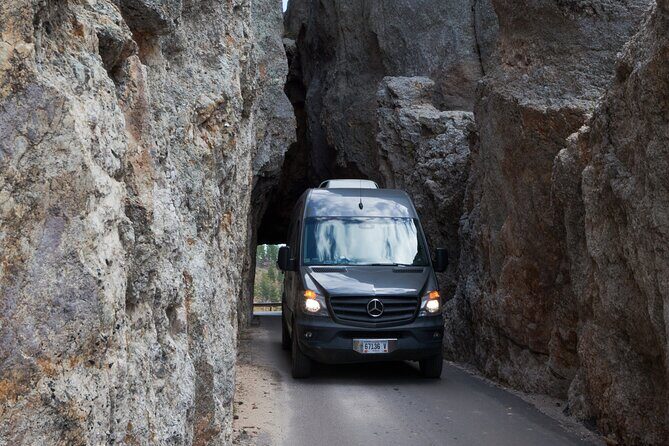 Private Half Day Mt Rushmore & Black Hills Tour - The Needles Highway: A Drive Like No Other
