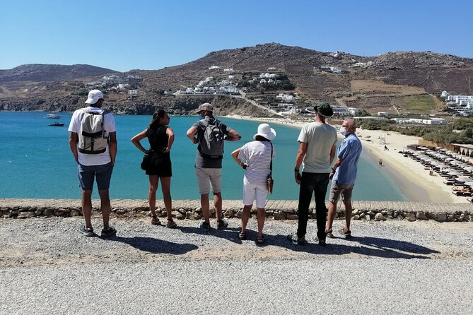Private Half-Day Mykonos Insider Tour With Pick up - Customizable Itineraries for Every Traveler