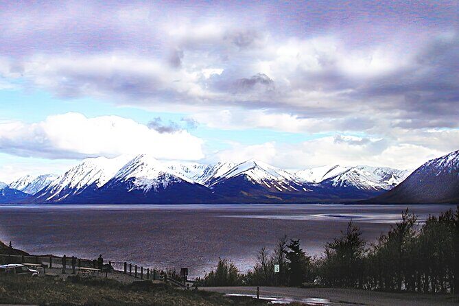 Private Half-Day Nature Tour from Anchorage - The Sum Up