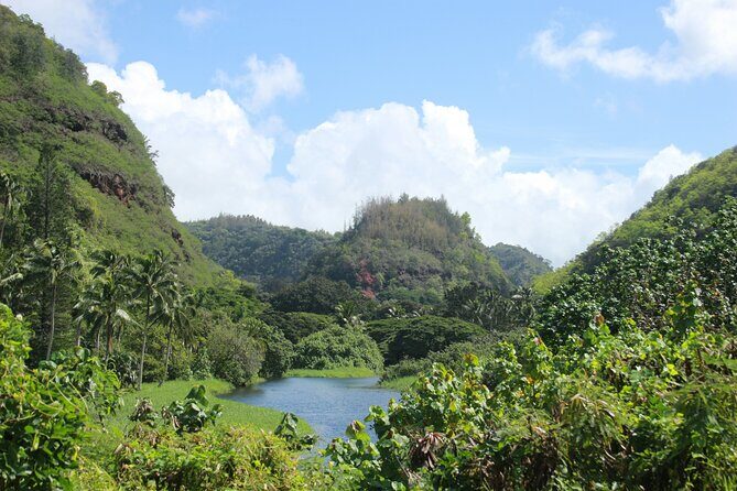 Private Half Day Oahu North Shore Anti-Tour - Kualoa Regional Park and Photo Stops
