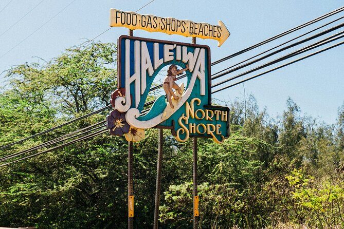 Private Half Day Oahu North Shore Anti-Tour - Dole Plantation: Pineapple Heritage and Souvenirs