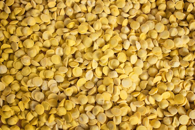 Private Half Day Parma Food Walking Tour - Who Will Love This Tour?