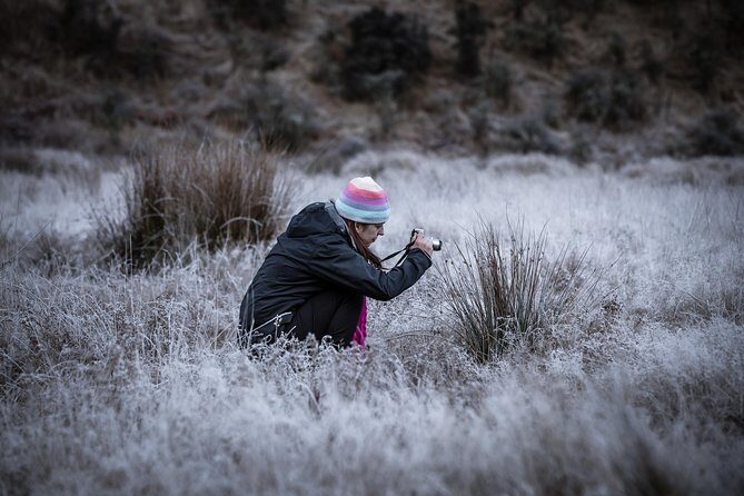 Private Half Day Photography Tour of Queenstown | Skippers | Glenorchy - Who Will Love This Tour?