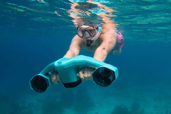Private Half day REVOLVE Boat & Snorkeling tour in Bonaire - Price and Value Analysis