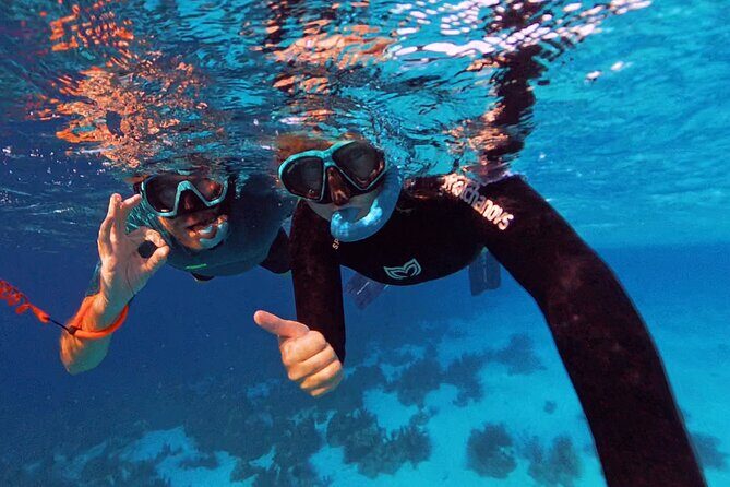 Private Half day REVOLVE Boat & Snorkeling tour in Bonaire - Final Thoughts