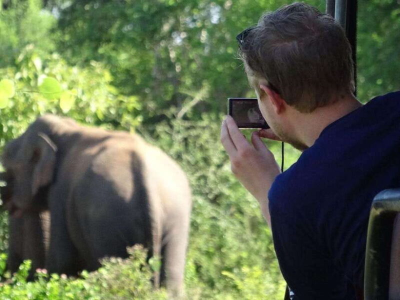 Private Half-Day Safari at Yala National Park - The Value of a Private Safari