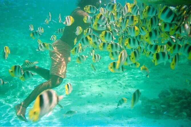 Private Half Day Sailing Excursion on the Lagoon of Tahiti - Who Will Love This Tour?
