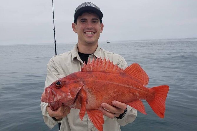 Private Half-Day San Diego Fishing Trip for up to 4 People - A Practical Look at the Private Half-Day San Diego Fishing Trip