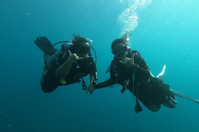 Private Half-Day Scuba Diving with expert (1Dive) - Introduction: Exploring the Underwater World on a Private Half-Day Tour