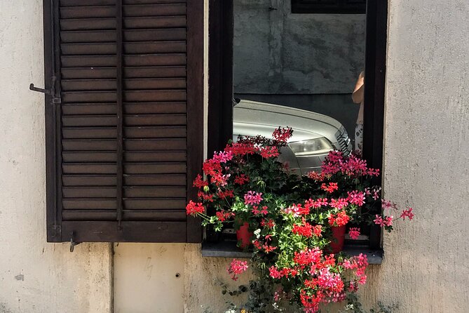 Private Half Day Serbia Tour Novi Sad and Petrovaradin Fortress - FAQ