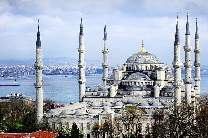 Private Half Day Shore Excursion: Hagia Sophia, Hippodrome, Blue Mosque and Grand Bazaar From Istanbul - Important Information to Consider