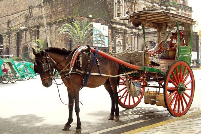 Private Half-Day Shore Excursion Old Manila by Calesa - Dive Into the Itinerary