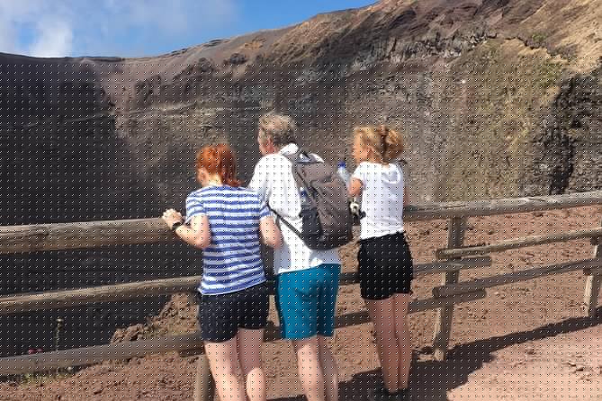 Private Half-Day Sightseeing Tour of Vesuvius National Park - FAQs