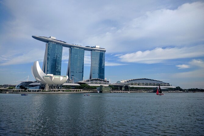 Private Half Day Singapore City Tour with Botanical Orchid Garden - What Makes This Tour Stand Out?