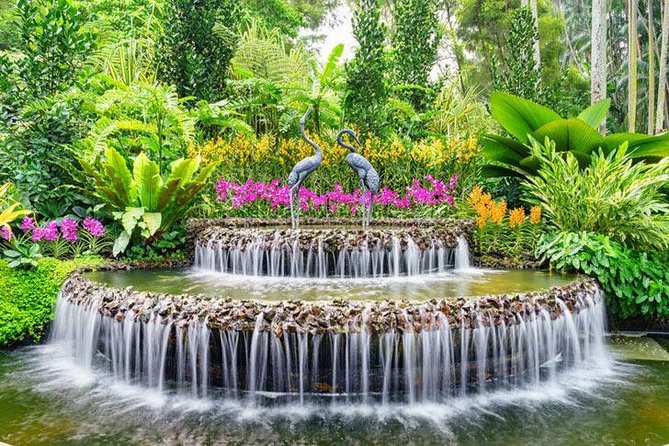 Private Half Day Singapore City Tour with Botanical Orchid Garden - Who Should Consider This Tour?