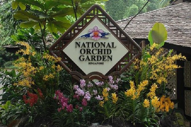 Private Half Day Singapore City Tour with Botanical Orchid Garden - The Sum Up