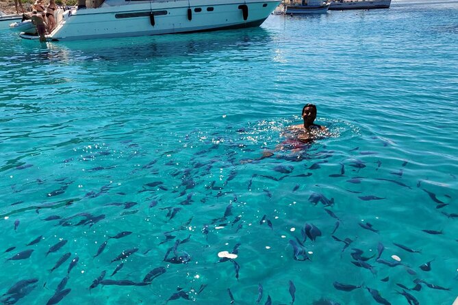 Private Half Day Speedboat tour to Kornati National Park - What the Price Includes and What It Doesn’t