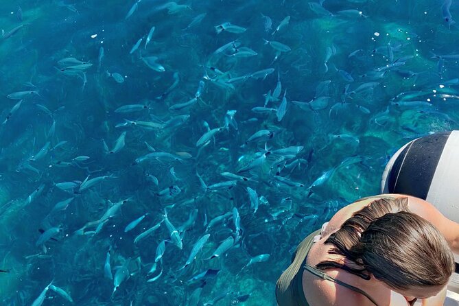 Private Half Day Speedboat tour to Kornati National Park - FAQ