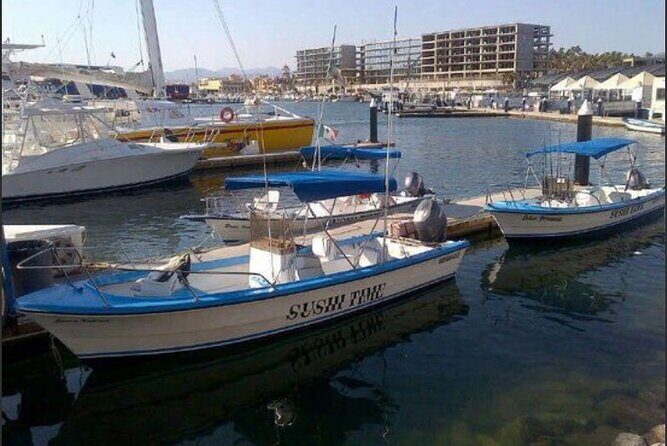 Private Half-Day Sport Fishing in Los Cabos - What to Expect on the Water