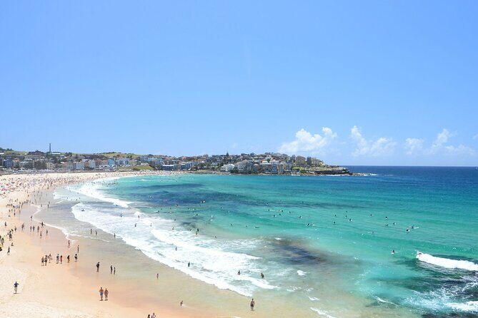 Private Half Day Sydney Tour by Vehicle & Boat - Sights & Sea - An In-Depth Look at What This Tour Offers