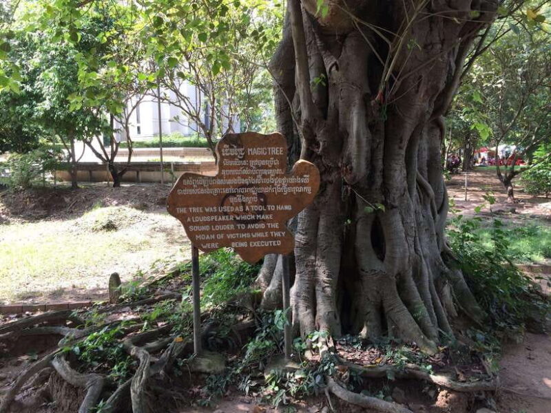 Private Half Day to Killing Field and S21 Genocidal Museum - Who Should Consider This Tour?