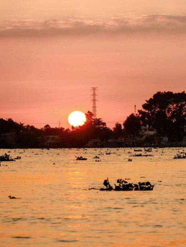 Private Half Day Tour - Cái Rng Floating Market - Who Should Consider This Tour?