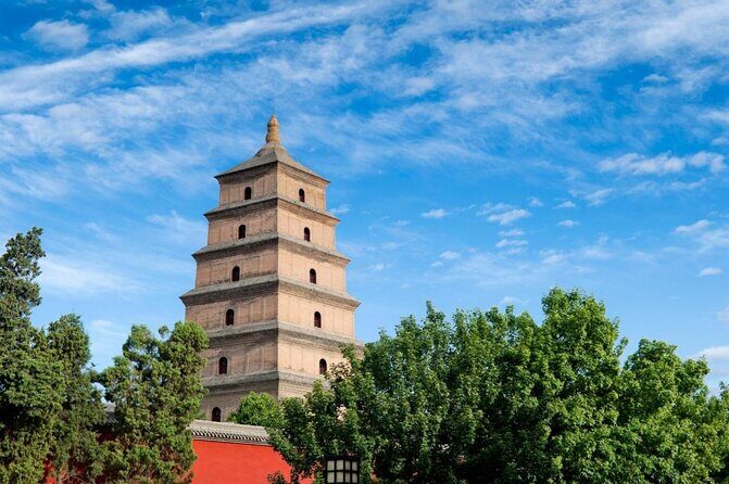 Private Half-Day Tour: City Wall, Big Wild Goose Pagoda and Muslim Street - Key Points